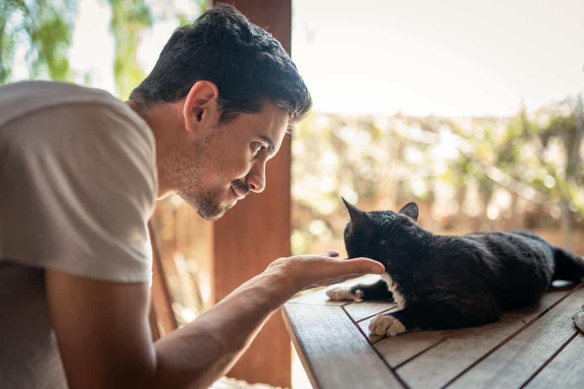 Innovative Pet Nutrition Solutions | ADM